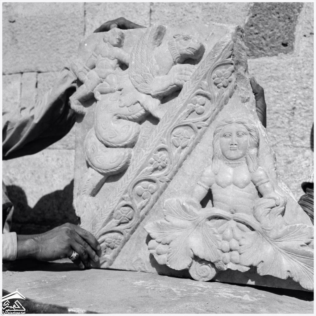 الألبوم رقم 13 صور قديمه ونادره لمدينة تعز منذ خمسينيات القرن الماضي